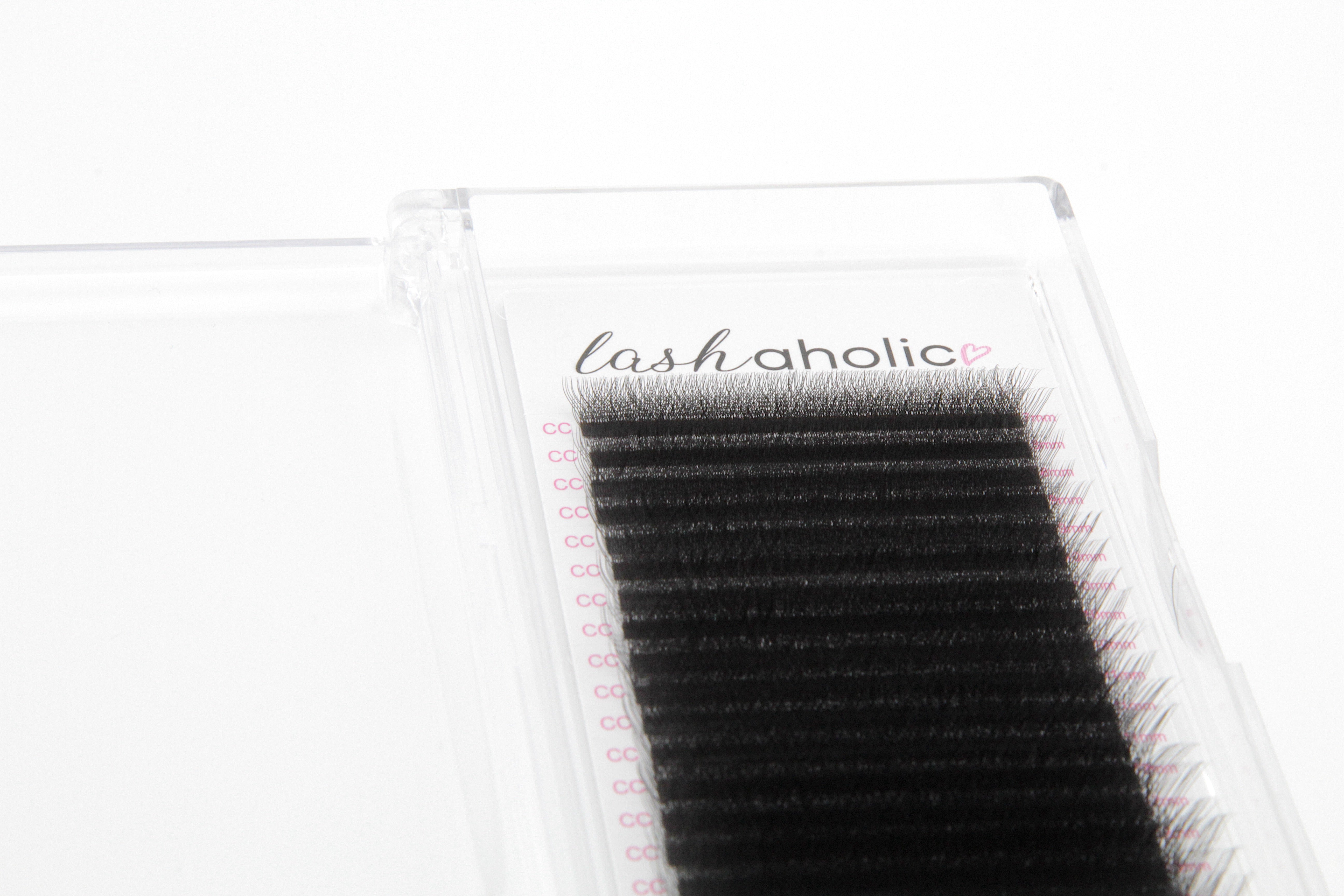 W Lashes - Premade Mega Volume Fans | 6-Tip Lashes - Lashaholic